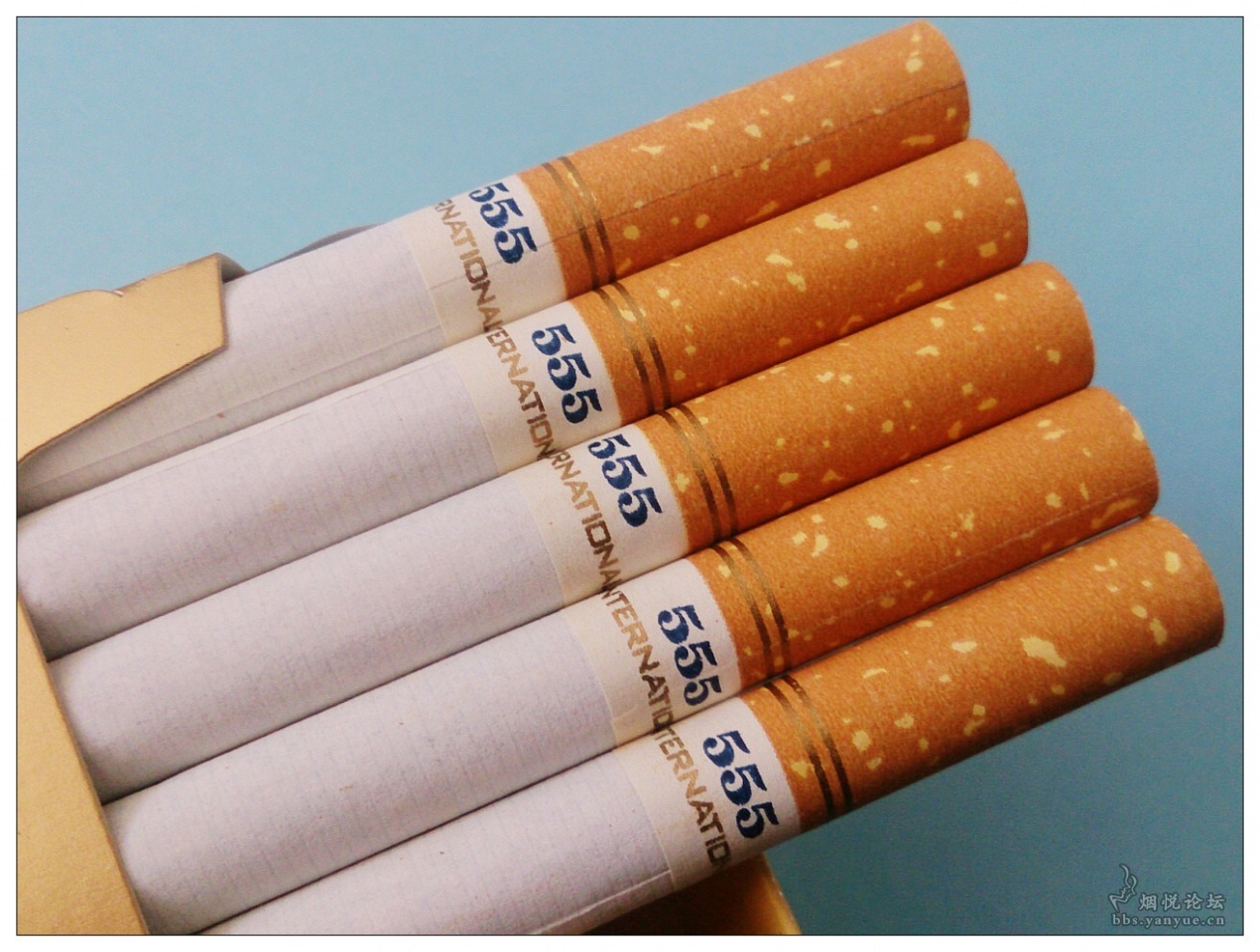 国际555烟草版 - 香烟品鉴 - 烟悦网论坛