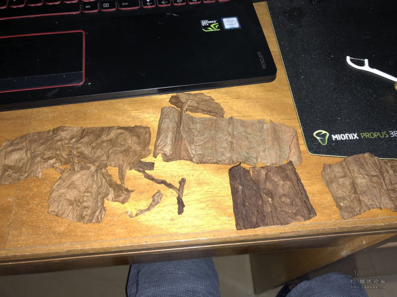 天啊，香港pcc沦陷了，小雷里面全是树枝。。。cao - 雪茄交流 - 烟悦网论坛