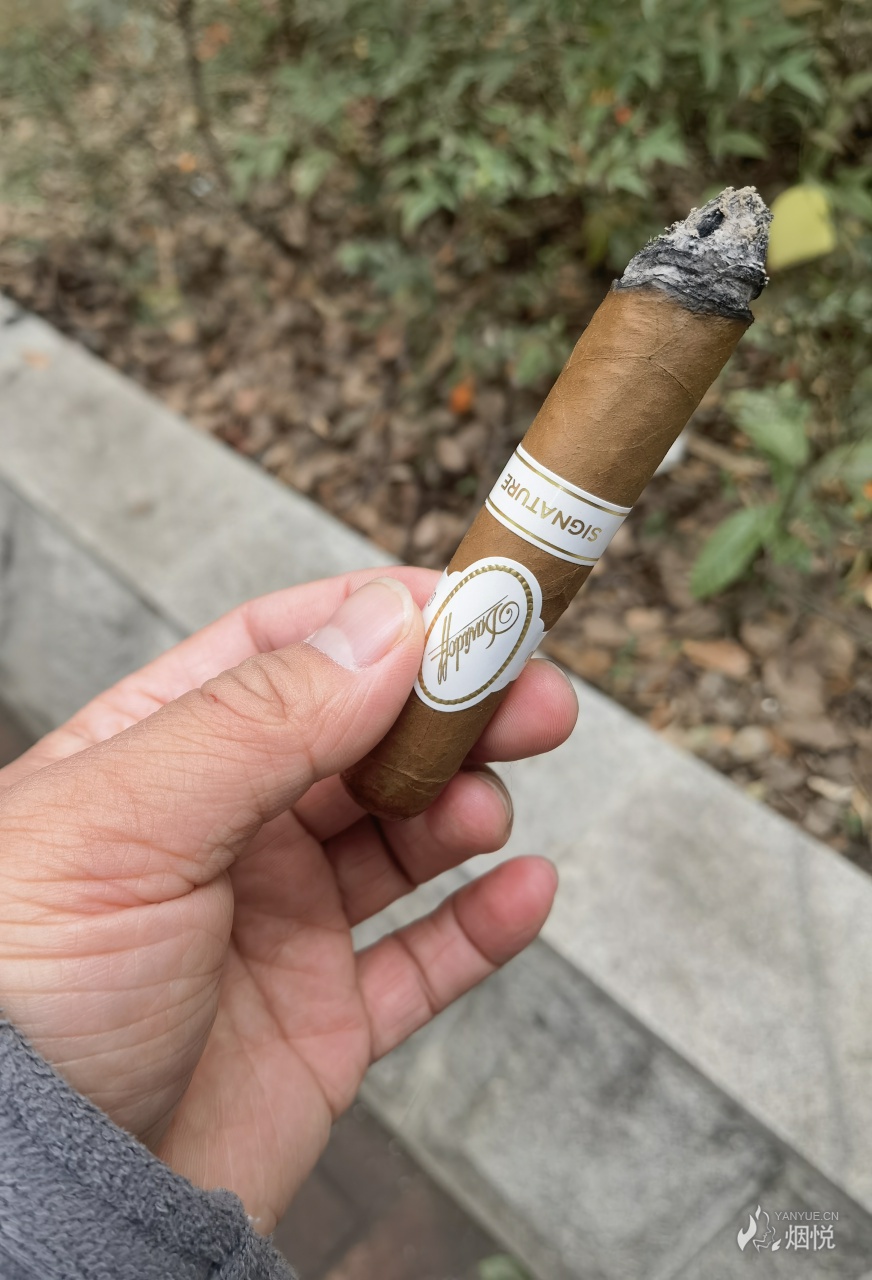 嗦烟心得-大卫杜夫署名2000（Davidoff Signature Series 2000） - 雪茄交流 - 烟悦网论坛