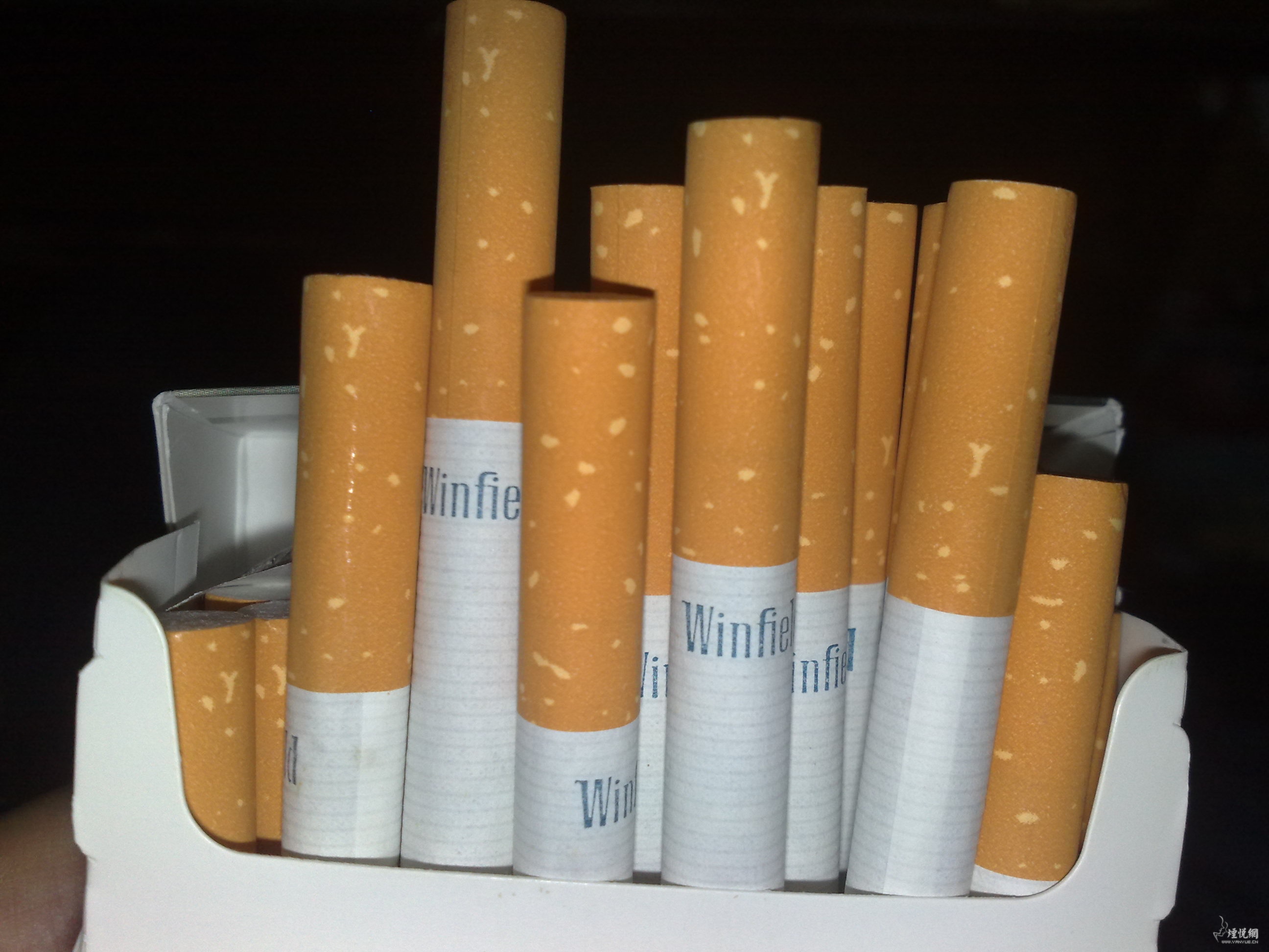 今天晚上刚买的winfield,觉得不错!~ - 香烟漫谈 - 烟悦网论坛