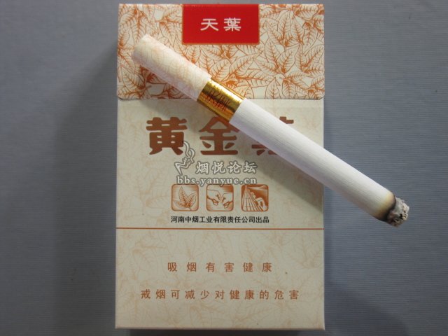 复古但不失时尚感------《黃金葉 》 - 香烟漫谈 - 烟悦网论坛