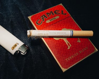 CAMEL TURKISH ROYAL|皇家红骆驼。[话题-烟悦网]