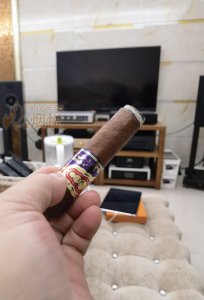 王冠(假日·黄金海岸) 雪茄正品价格表，真伪鉴别口感评测各地价格多少钱 [雪茄信息-烟悦网]