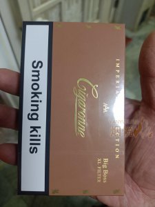 Cigaronne Big Boss XL FILTER(Duty Free) 香烟正品价格表，真伪鉴别口感评测各地价格多少钱 [香烟信息-烟悦网]